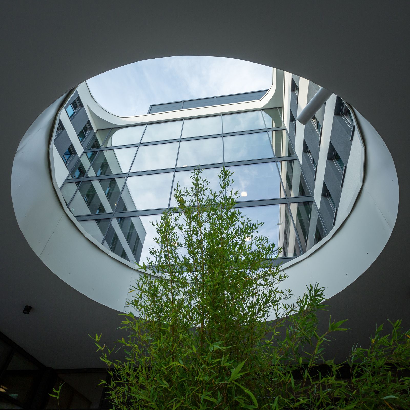 the niu Mesh in Stuttgart - alle Deals