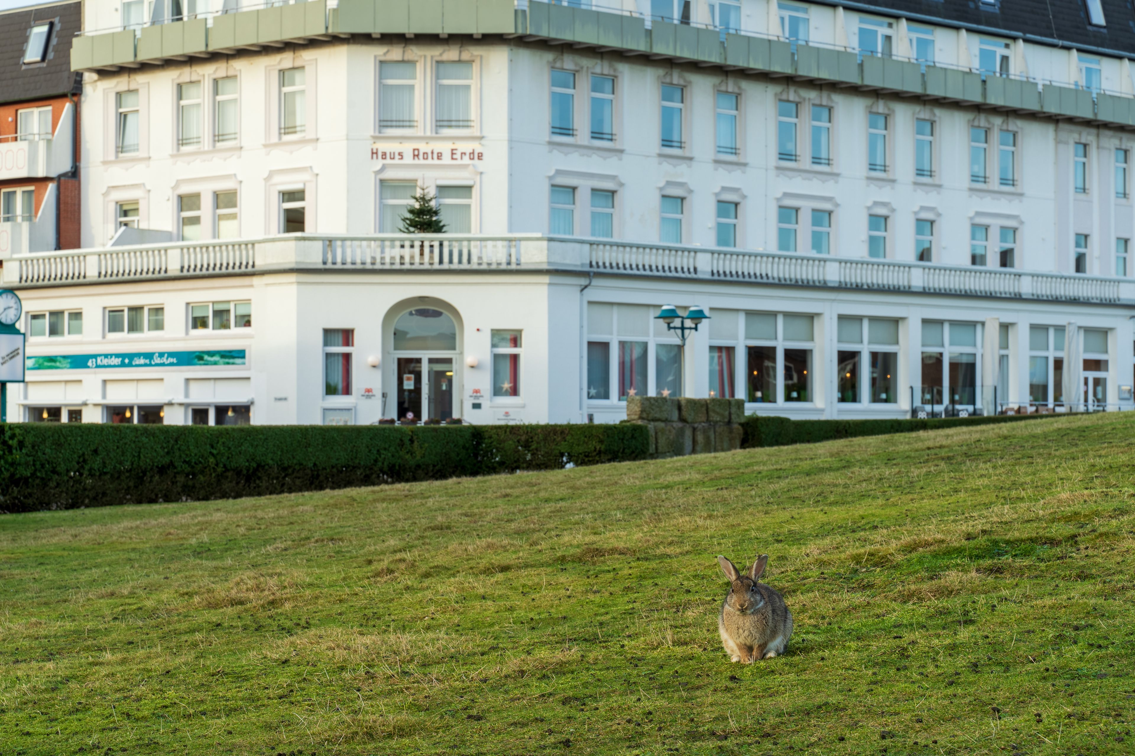 Inselhotel Rote Erde in Borkum - alle Deals