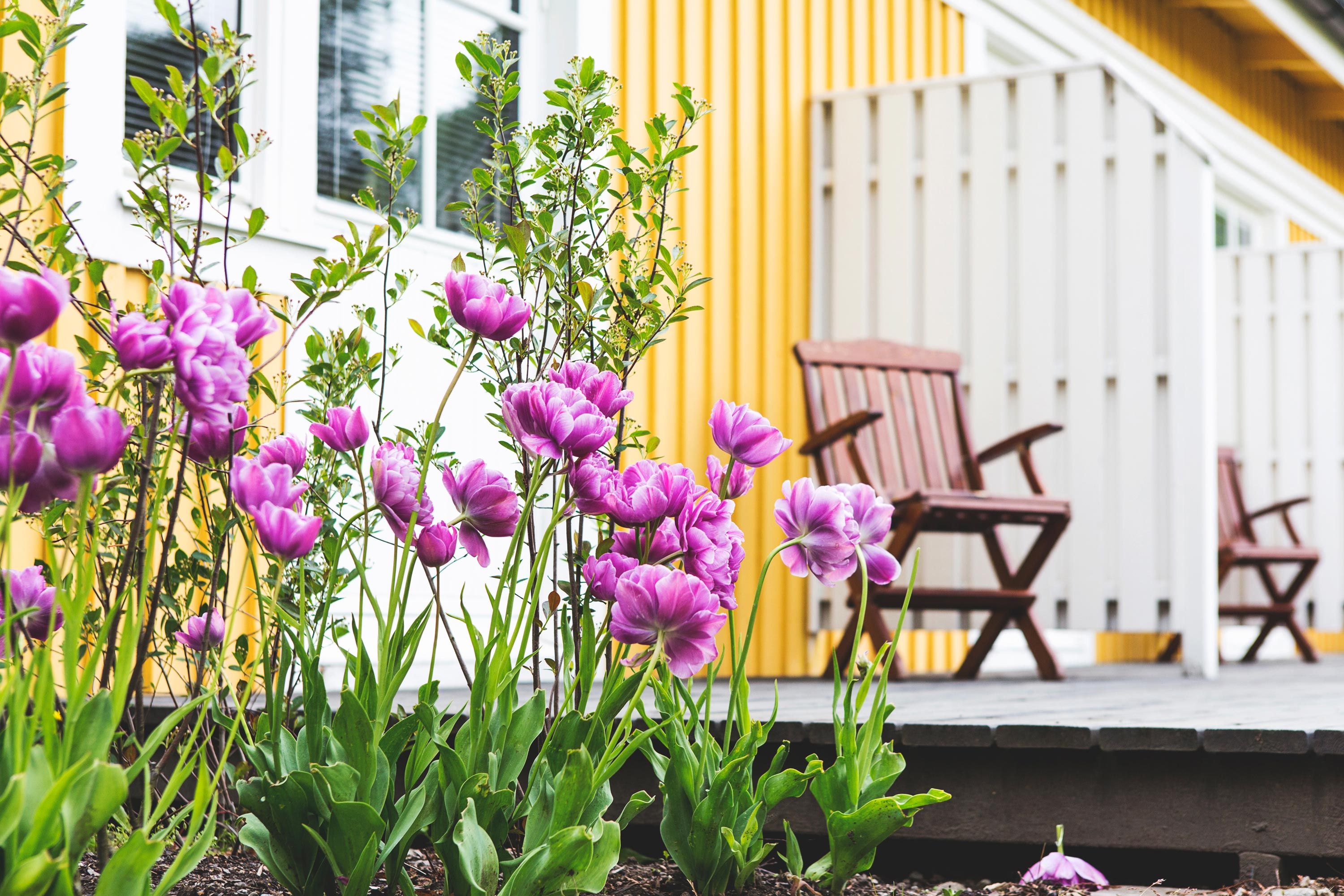 Lejondals Slott in Bro - alle Deals